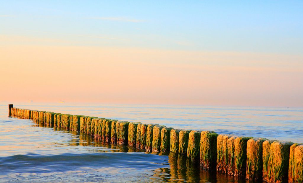 Somatosensibel evozierte Potentiale (SEP) - Neurologische Praxis